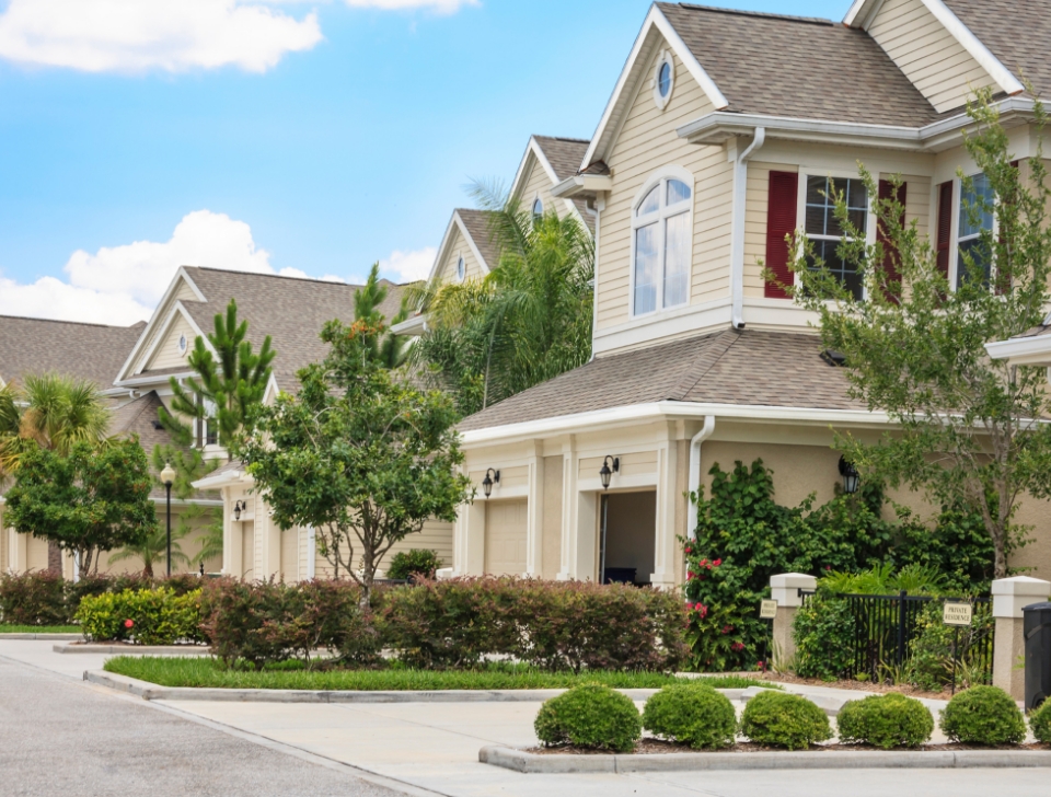 Seymour Abstract & Title